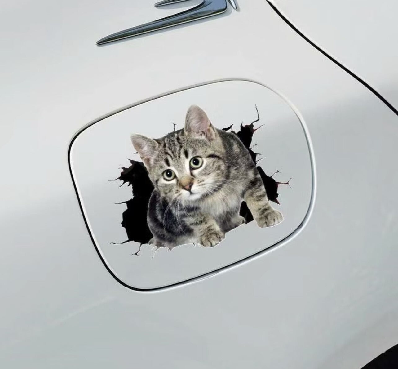 Personalized Car Window Decals Upload Cat Image,Gift For Cat Lover,WD-
